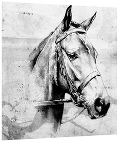Obraz - portrét koně (30x30 cm)