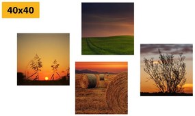 Set obrazů romantický západ slunce na louce