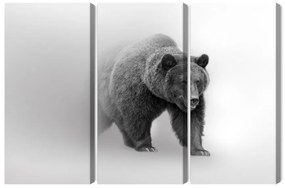 Vícedílný obraz Medvěd V Mlze 3D Nedostatek Nedostatek Přírodní plátno 180x120