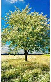 Dvoudílná vliesová fototapeta Kvetoucí strom, rozměr 150x250cm, MS-2-0096