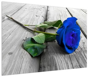 Obraz modré růže (100x70 cm)
