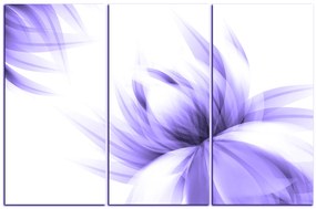 Obraz na plátně - Elegantní květ 1147VB (90x60 cm  )