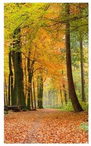 DIMEX | Vliesová fototapeta na zeď Podzimní les MS-2-0099  | 150 x 250 cm | zelená, oranžová, hnědá