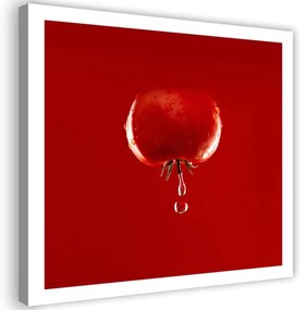 Obraz na plátně, Zeleninová voda z červených rajčat - 30x30 cm