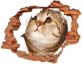 Wallmuralia Díra 3D fototapeta na stěnu nálepka Kočka 90x70 cm