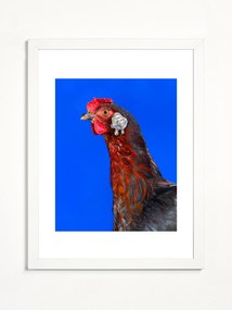 Radka Korandová | Zrození by Anna Baum 1 Rám: Černý, Velikost: 30 x 20 cm