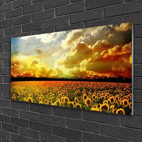 Obraz na skle Pole Slunečnic Krajina 125x50 cm