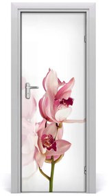 Fototapeta na dveře Růžová orchidej 75x205 cm