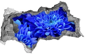 Wallmuralia Samolepící díra nálepka Modrá astera 95x73 cm