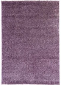 Koberce Breno Kusový koberec MONDO A9/LLL, Fialová, 120 x 170 cm