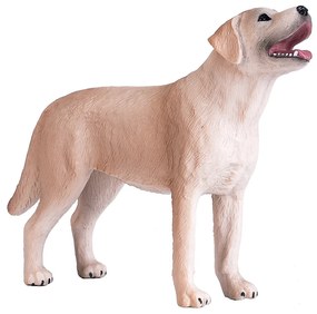 Mojo Labrador