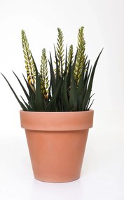 Květináč LEVANTA, plast, výška 63 cm, natur