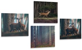Set obrazů kouzlo lesních zvířat - 4x 40x40 cm