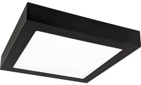 LED Stropní svítidlo FENIX LED/12W/230V 2800K 17 cm