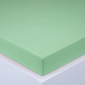 Napínací prostěradlo jersey EXCLUSIVE světle zelené 160 x 200 cm