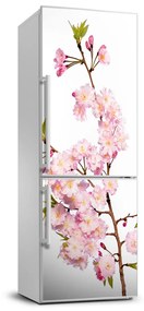 Wallmuralia Fototapeta samolepící na ledničku Květy višně 60x180 cm