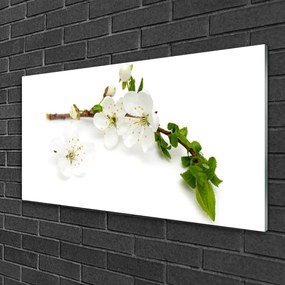 Obraz na skle Květ Větev Příroda 100x50 cm