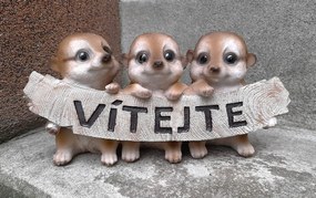 Figurky Surikaty - vítejte
