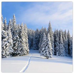 Obraz - Zima v lesích (30x30 cm)