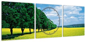 Obraz pole s alejí (s hodinami) (90x30 cm)