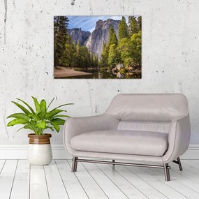 Obraz - Pod Yosemite skálou (70x50 cm)