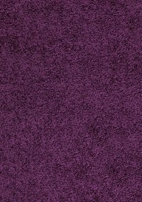 Ayyildiz koberce Kusový koberec Dream Shaggy 4000 lila Rozměry koberců: 65x130