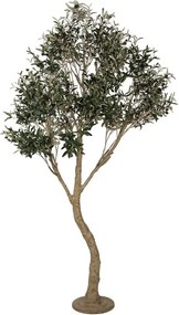 Dekorační strom olivovník s olivami Olea Tree - 140*130*250 cm