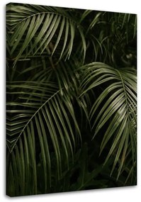 Obraz na plátně Monstera Palm Leaves Botanika - 70x100 cm
