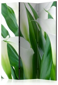 Paraván bunch of flowers - callas Dekorhome