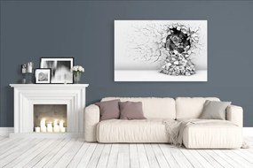 3D obraz lev ve stěně Velikost (šířka x výška): 150x100 cm