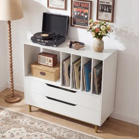 Costway Stojan na gramofon s 4 vinylovými přihrádkami a 2 zásuvkami Retro