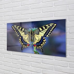 Obraz na skle Motýl na květině 140x70 cm