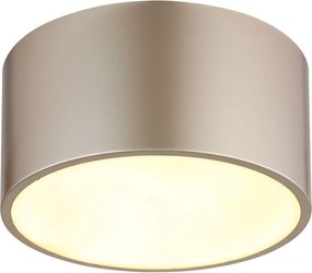 Globo RAYMOND LED stropní svítidlo, 900 lm, 12 W