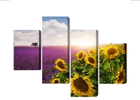 Vícedílný obraz Levandulová A Slunečnicová Pole 3D Nedostatek Nedostatek Plátno Canvas 120x75