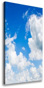 Wallmuralia Vertikální Foto obraz na plátně Mraky na nebi 50x100