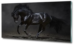 Wallmuralia Foto obraz sklo tvrzené Černý kůň 100x50