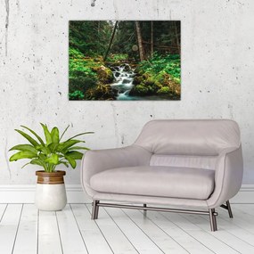 Skleněný obraz potoku v lese (70x50 cm)