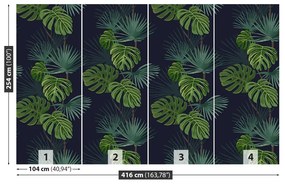 Fototapeta Monstera děravá 104x70