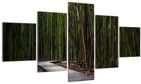 Obraz - Mezi bambusy (125x70 cm)