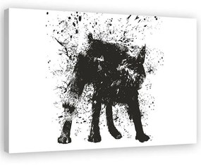 Gario Obraz na plátně Černá abstrakce - Rykker Rozměry: 60 x 40 cm