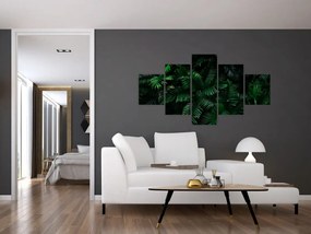 Obraz - Tropické kapradí (125x70 cm)