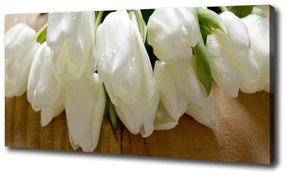 Wallmuralia Foto obraz na plátně Bílé tulipány 100x50