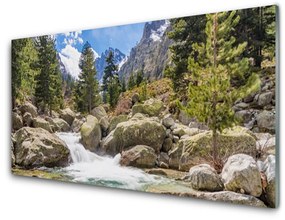 Obraz na skle Hora Les Kameny Řeka 120x60 cm