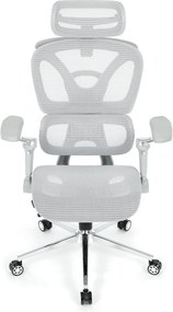Ergonomická kancelářská židle FORCE - šedá síťovina