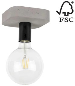 Spot-Light | Spot-Light 8254136 - Stropní svítidlo FORTAN 1xE27/60W/230V | SP0602