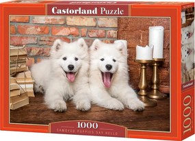 Castorland puzzle štěňata samojeda 1000 dílků
