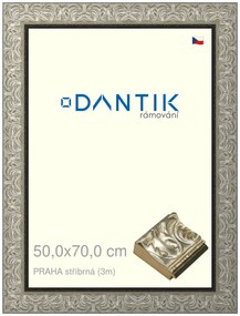 DANTIK rámeček 50x70 | PRAHA stříbrná (Plexi Čiré)