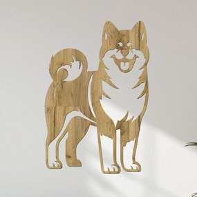 dřevo života Dřevěný obraz psa AKITA INU Zvolte rozměr (cm): 40x60, Zvolte barvu dekoru: Dub zlatý