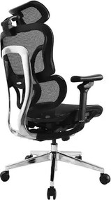 Equip Ergonomická kancelářská židle černá / Kancelářská židle / síťový