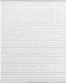 Lichtblick Plisovaná roleta, od 45 x 130 cm (účinek: rostlina, 70 x 130 cm)